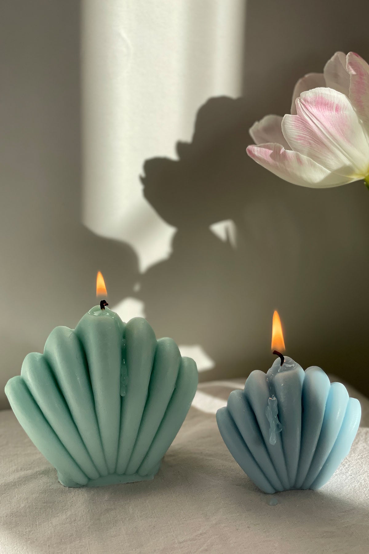 Shell Shaped Candle – Interlude Candles
